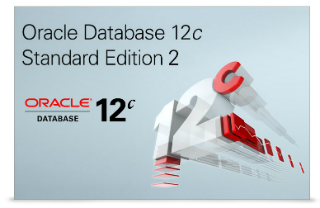 Oracle Database 12c Standard Edition 2 купить Онлайн⭐. Цены на лицензии ...